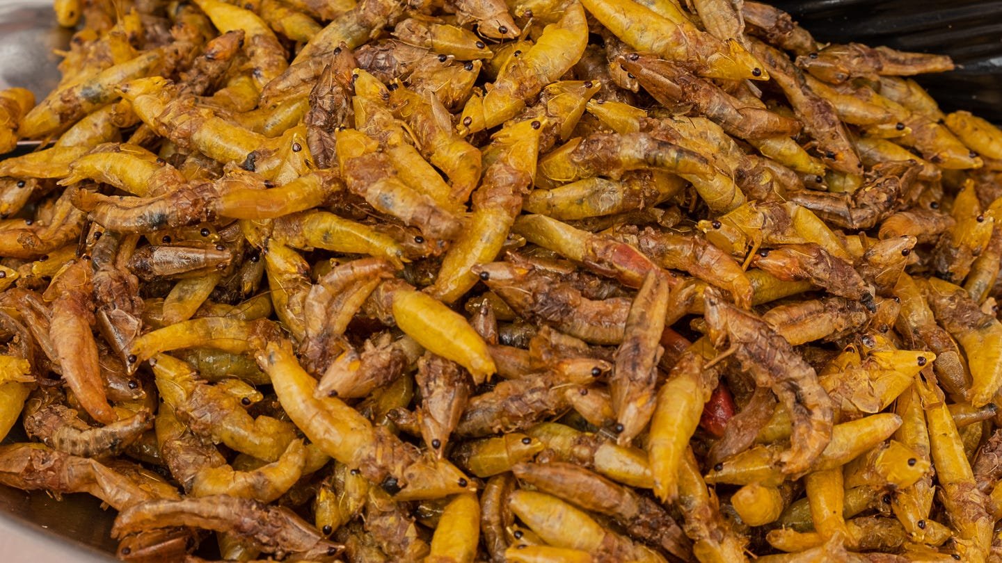 Grasshoppers(Nsenene) are a Ugandan Food Delicacy